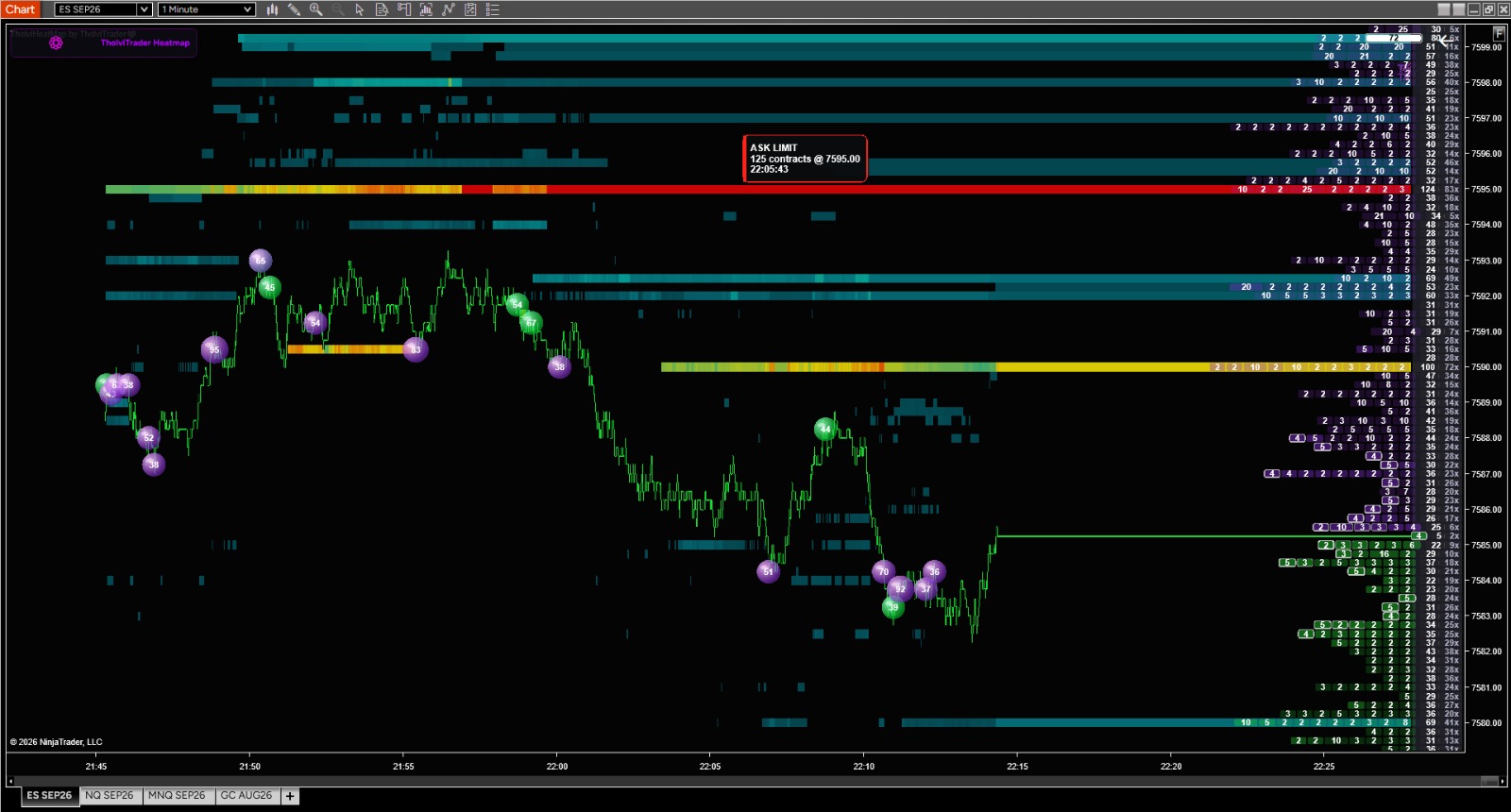 Tholvitrader | Heatmap for Ninjatrader & Gex and orderflow & auction ...